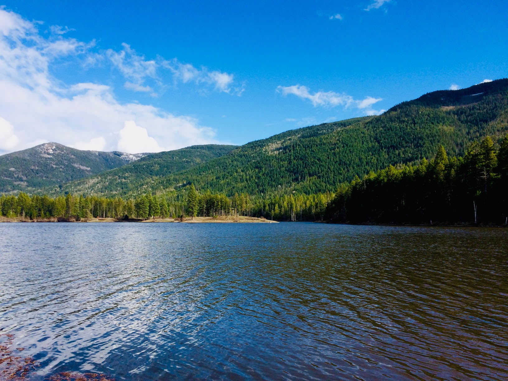 South Shuswap Chamber of Commerce - An Unparalleled Paradise